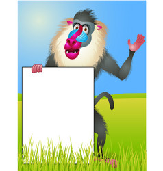 Baboon Sign Blank Vector Images (45)
