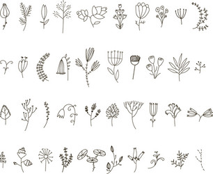 Wildflowers and flowers thin line collection hand Vector Image
