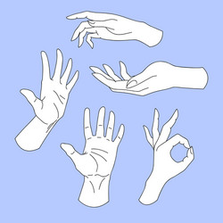 Set of hand drawn arms Royalty Free Vector Image