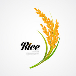 Rice Vector Images (over 74,000)