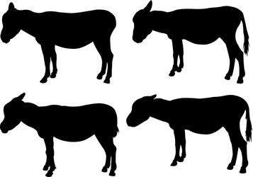 Donkey Vector Images (over 11,000)