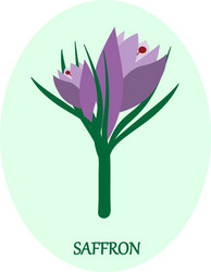 Saffron Vector Images (over 6,800)