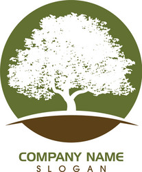 Root tree Royalty Free Vector Image - VectorStock