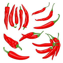 Cayenne pepper elements set Royalty Free Vector Image