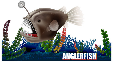 Anglerfish Vector Images (over 340)