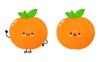 Tangerine fruit character hand drawn cartoon Vector Image