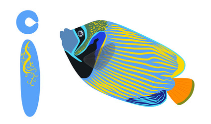 Red Emperor Fish Vector Images (42)