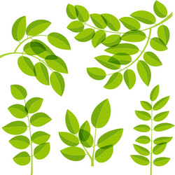 Leaves Vector Images (over 660,000)