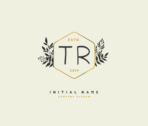 Tr initial letter handwriting and signature logo Vector Image
