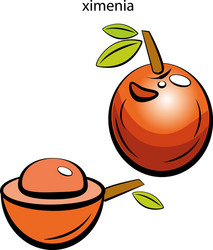 Ximenia Vector Images (over 150)