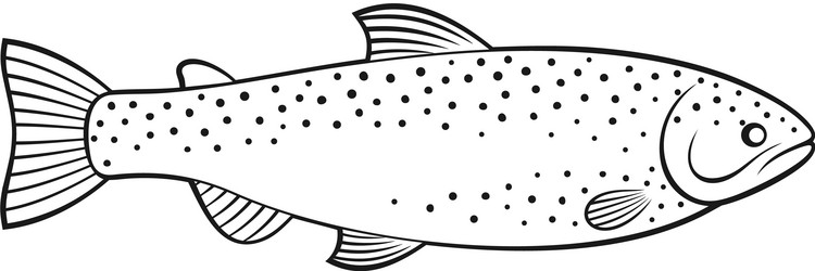 Trout Outline Vector Images (over 2,400)