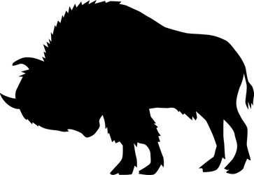Head of buffalo Royalty Free Vector Image - VectorStock