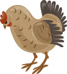 Chicken Comb Vector Images (over 1,000)