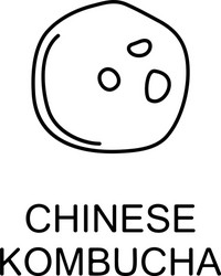 Kombucha line art icon Royalty Free Vector Image