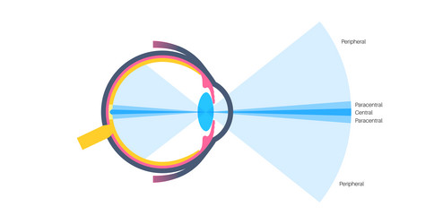 Peripheral vision poster Royalty Free Vector Image