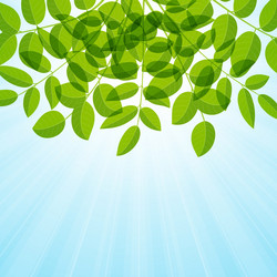 Green foliage icon cartoon bush game landscape Vector Image