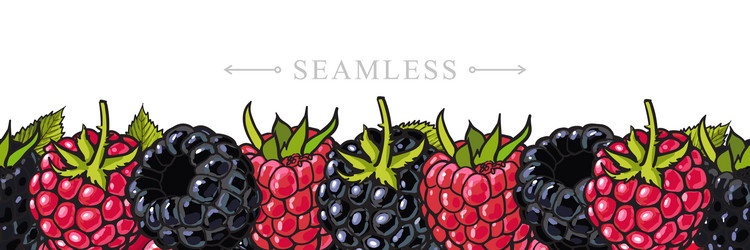 Blackberry Border Vector Images (over 350)