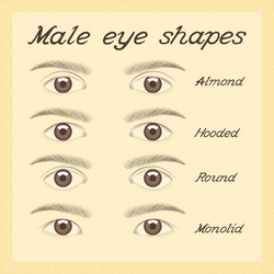 Almond Shaped Eyes Men
