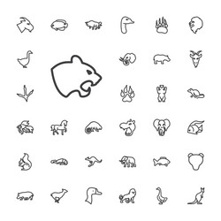 Wild icons Royalty Free Vector Image - VectorStock