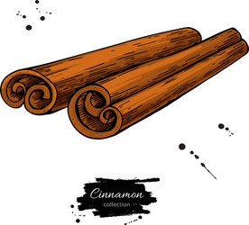 Chalk sketch of cinnamon stick Royalty Free Vector Image