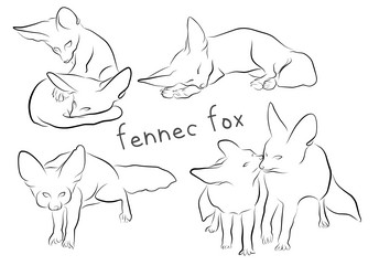 Set fennec fox outline Royalty Free Vector Image