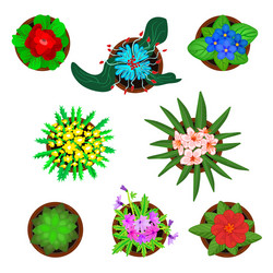 Flower Pot Top View Vector Images (over 400)