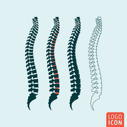 Spine Vector Images (over 26,000)