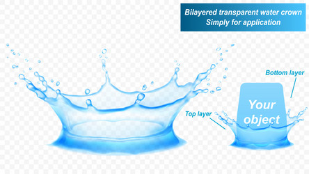 Water crown with two layers splash Royalty Free Vector Image