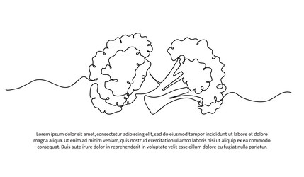 Broccoli one continuous line design vegetable Vector Image