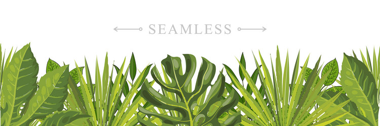 Aloha Border Vector Images (over 1,500)