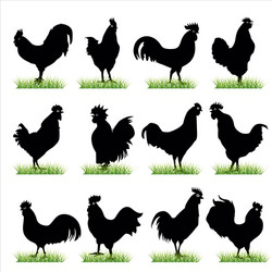 Rooster Vector Images (over 38,000)