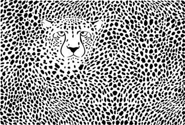 Cheetah Print Vector Images (over 15,000)