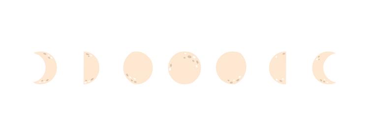 Cute moon phases Royalty Free Vector Image - VectorStock
