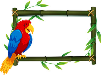 A parrot on bamboo border Royalty Free Vector Image