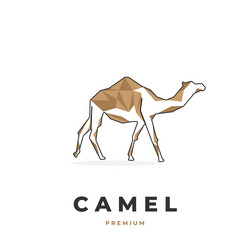 A camel Royalty Free Vector Image - VectorStock