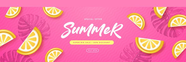 End of season summer sale banner design template Vector Image