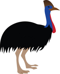 Cute Emu Vector Images (over 890)