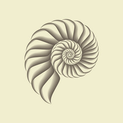 Seashell Shell Helix Vector Images (over 180)