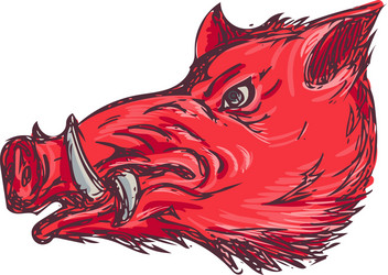 Razorback Head Vector Images (over 460)