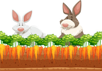 Cartoon rabbit with carrot plant in the garden Vector Image