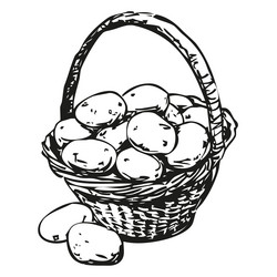Potato Line Art