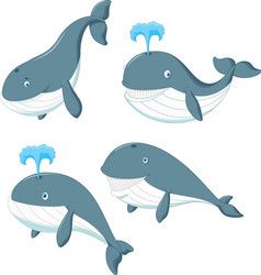 Happy whale cartoon Royalty Free Vector Image - VectorStock
