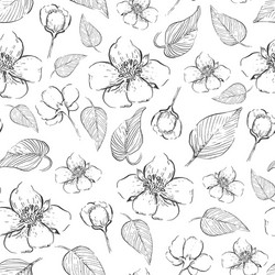 Hand drawn flowers Royalty Free Vector Image - VectorStock