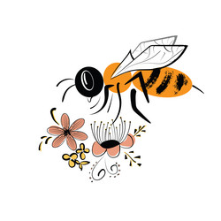 Cartoon yellow bee Royalty Free Vector Image - VectorStock
