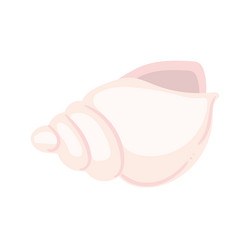 Conch Vector Images (over 9,100)