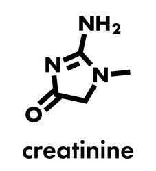 Creatinine molecule creatine breakdown product Vector Image