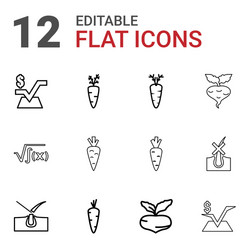 5 root icons Royalty Free Vector Image - VectorStock