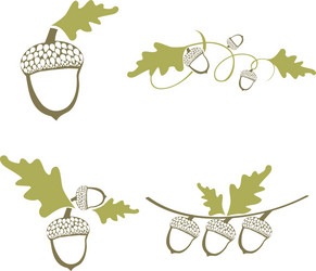 Acorn Vector Images (over 27,000)