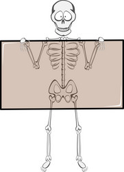 Skeleton buddy Royalty Free Vector Image - VectorStock