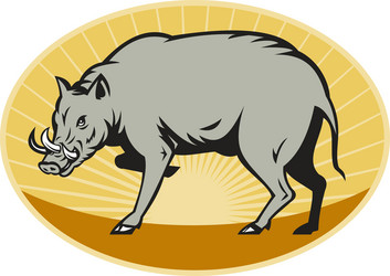Wild Hog Vector Images (over 5,300)